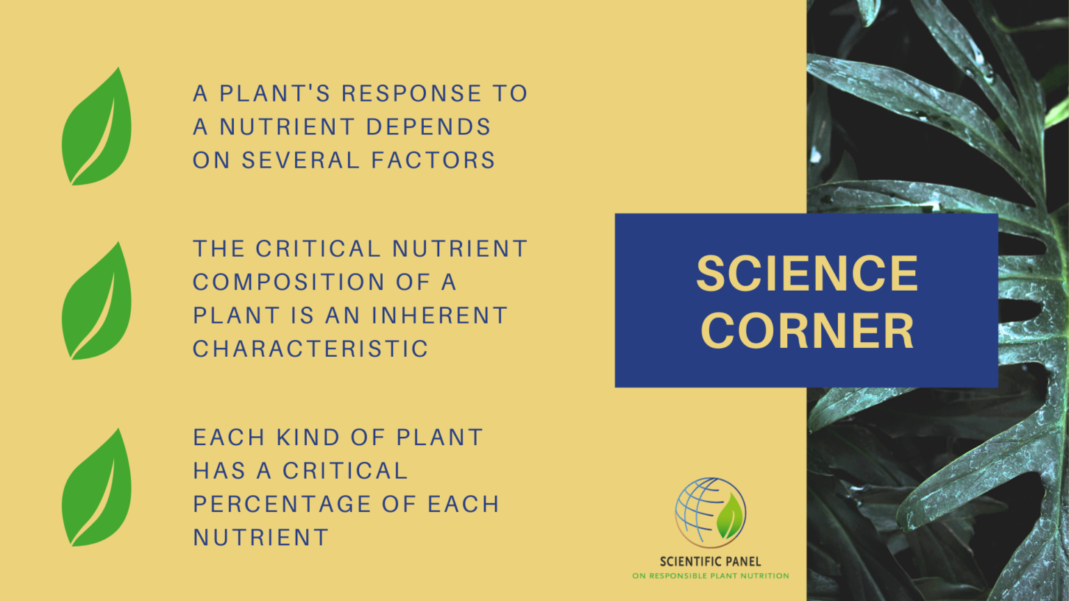 The quantitative mineral nutrient requirements of plants – SPRPN
