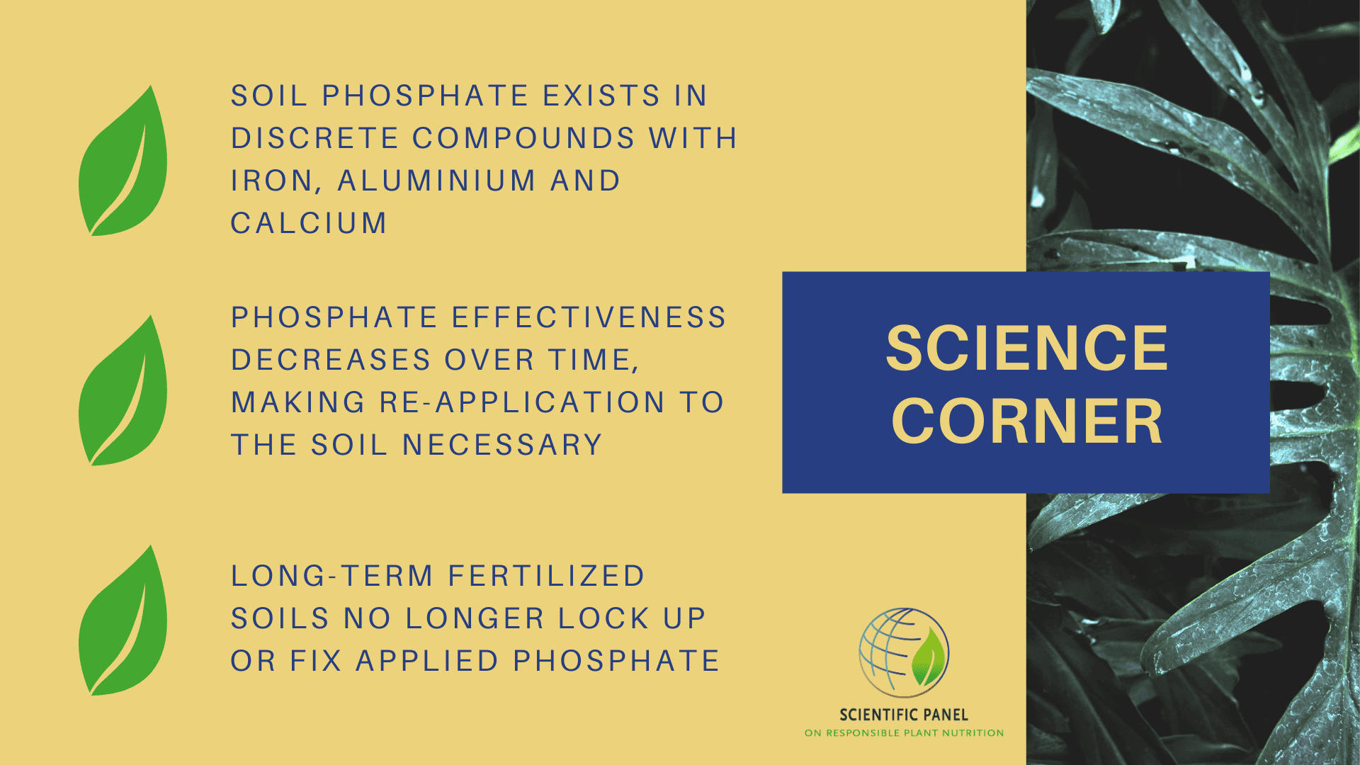 How understanding soil chemistry can lead to better phosphate ...