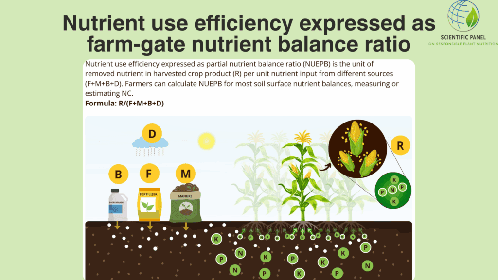 Defining Nutrient Use Efficiency in Responsible Plant Nutrition - SPRPN