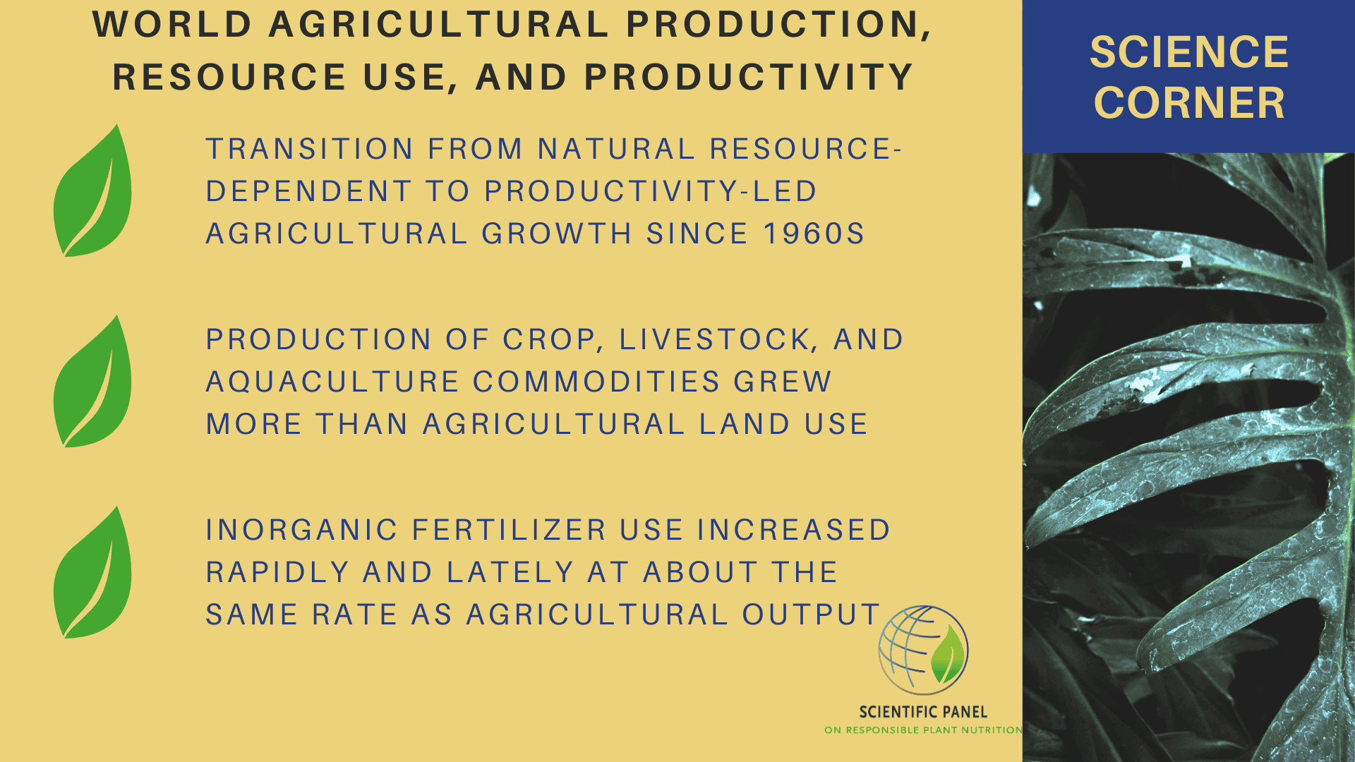 World agricultural production, resource use, and productivity - SPRPN