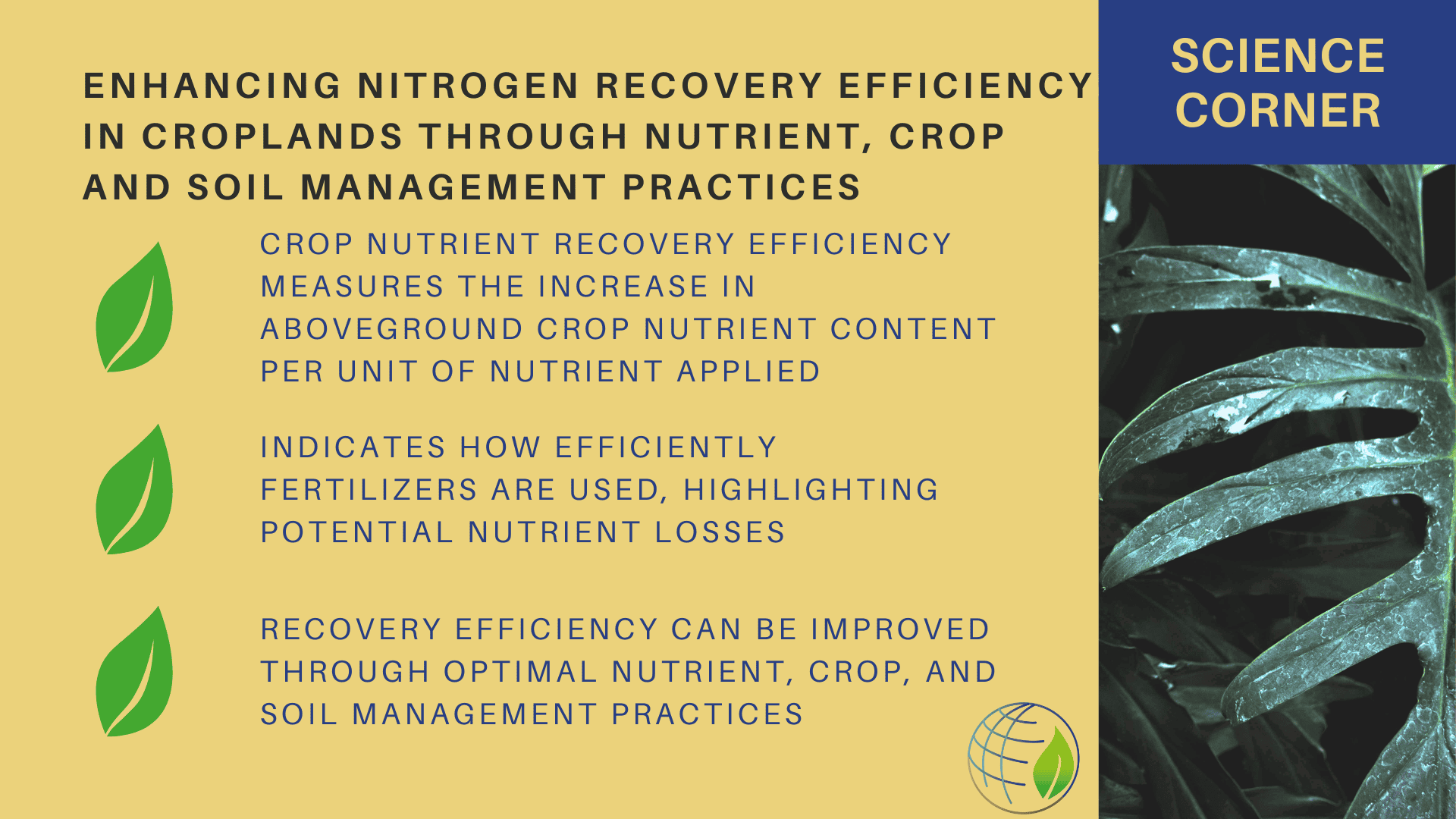 Enhancing nitrogen recovery efficiency in croplands through nutrient ...