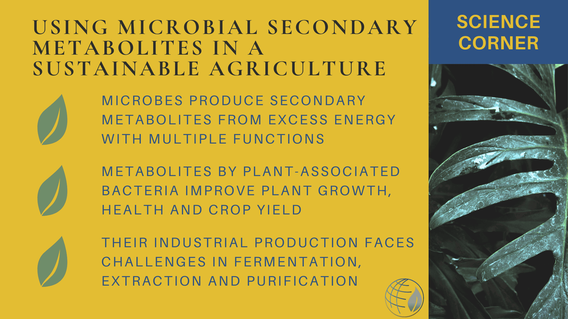 Microbial secondary metabolites and how to use them in a sustainable ...